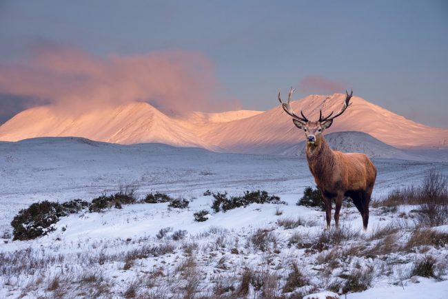 Scottish Highlands Weather | Eagle Brae